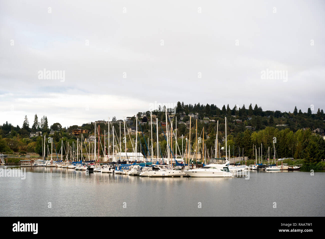 Various size private sailing mast yachts, vessels and boats moored to ...