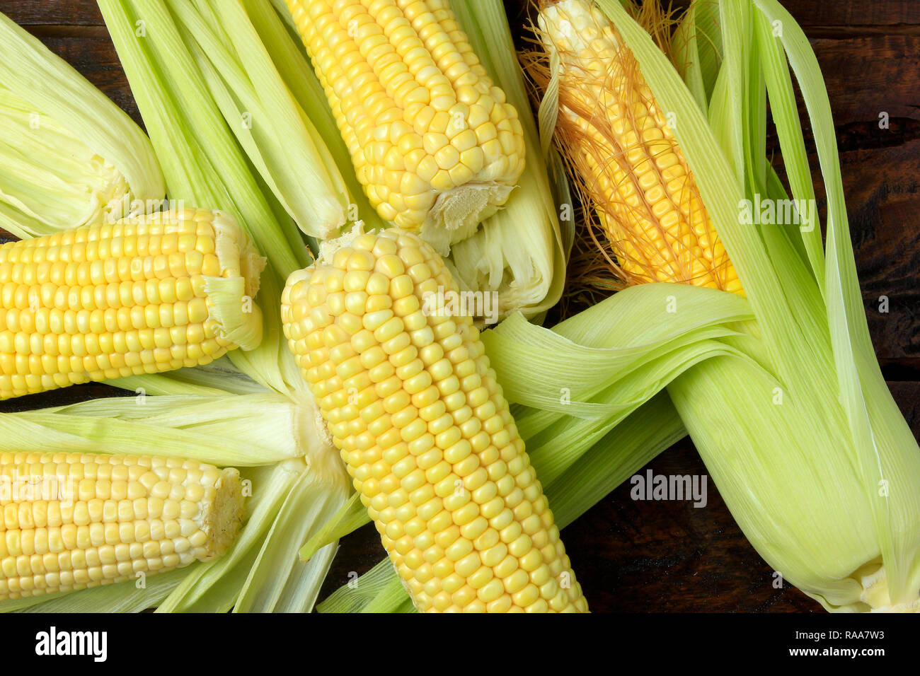 cob of raw corn, with straw, harvested from plantation, on rustic ...
