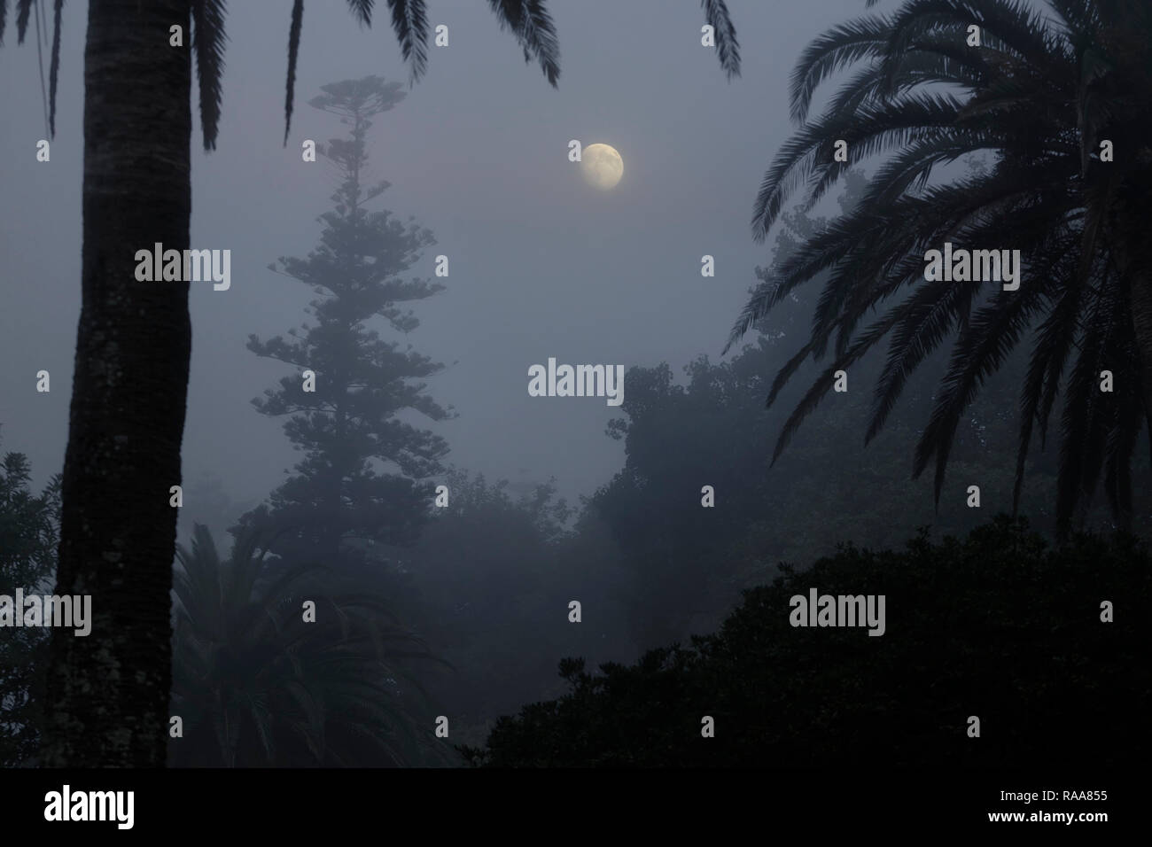 Arising moon sky hi-res stock photography and images - Alamy