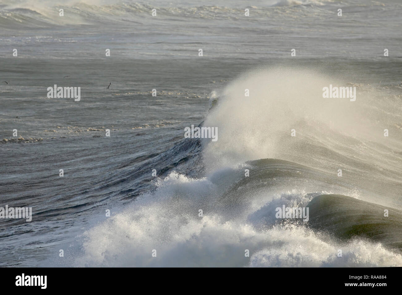 Huge breaking sea wave as seen from above Stock Photo - Alamy