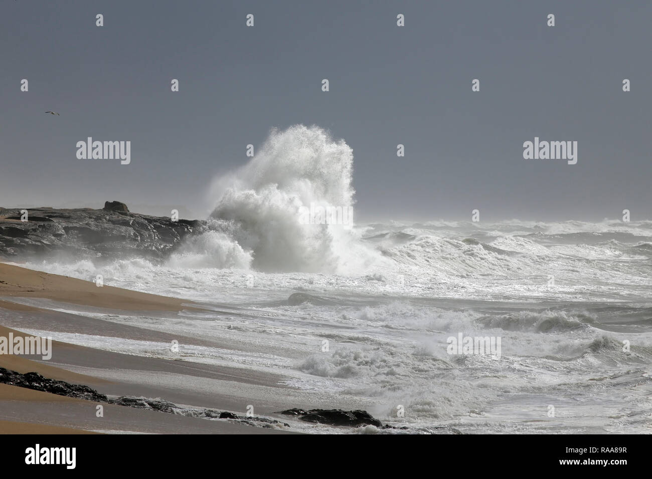 Atlantic Ocean storm. Northern portuguese coast during a heavy stormy ...
