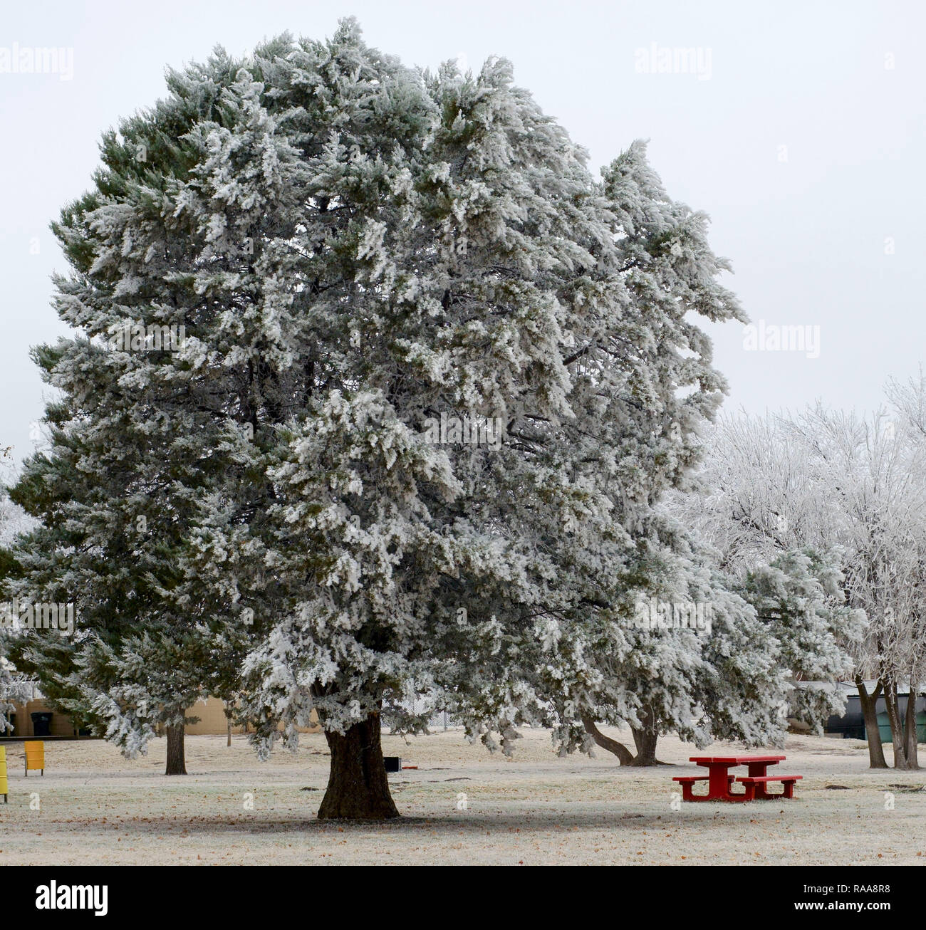 Park ice hi-res stock photography and images - Alamy