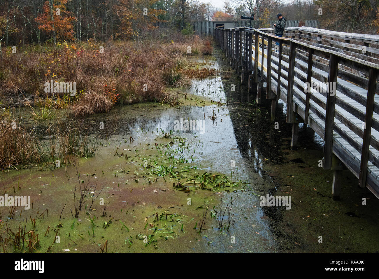 Swamp people hi-res stock photography and images - Alamy