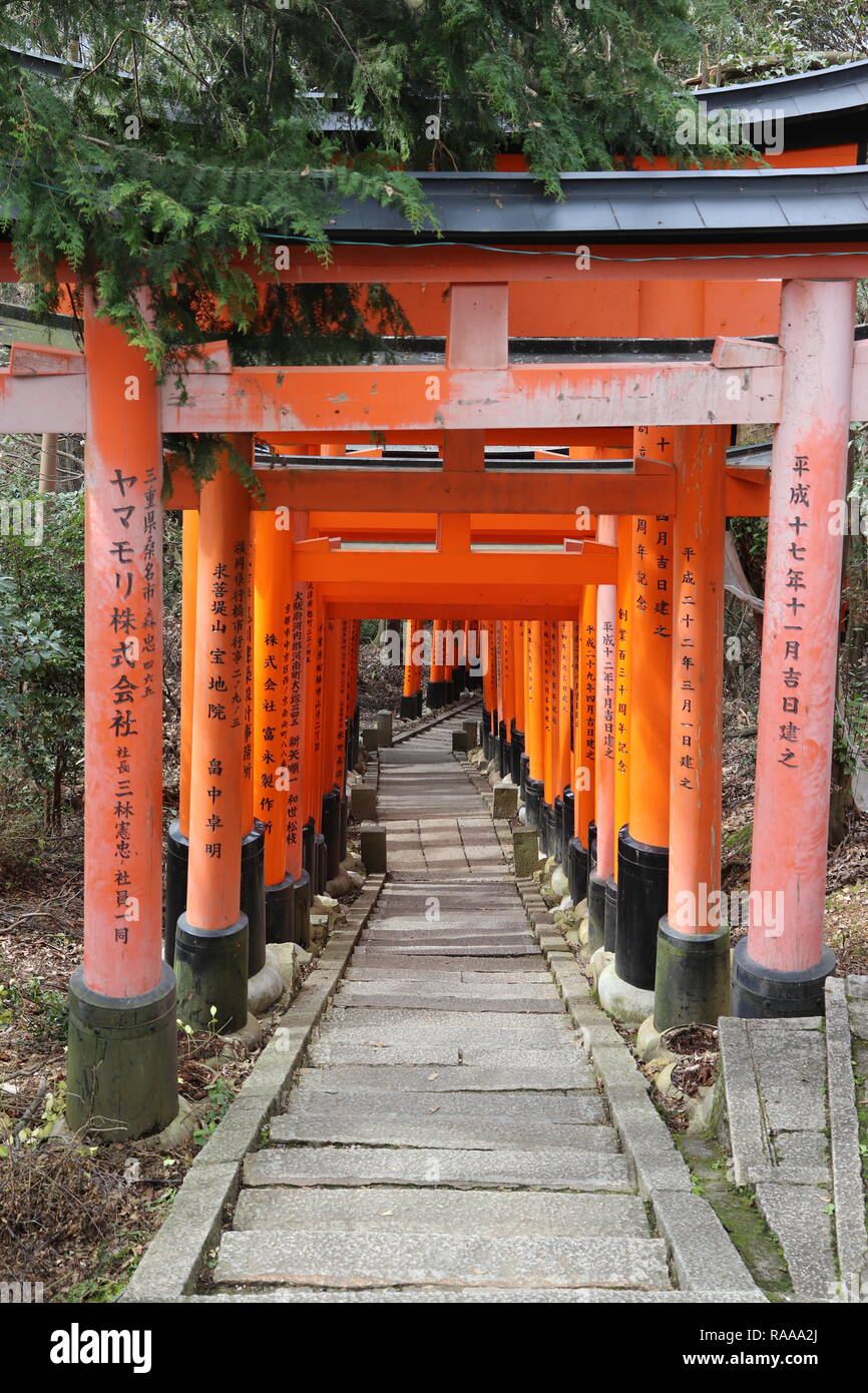 Fushimi Inari Shrine Stock Photo - Alamy