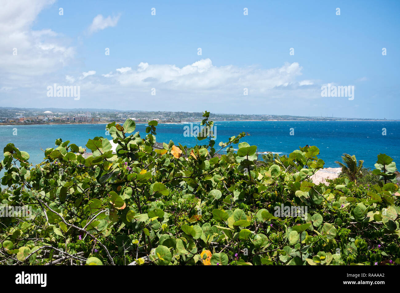 atlantic ocean off north coast of puerto rico with arecibo on horizon ...