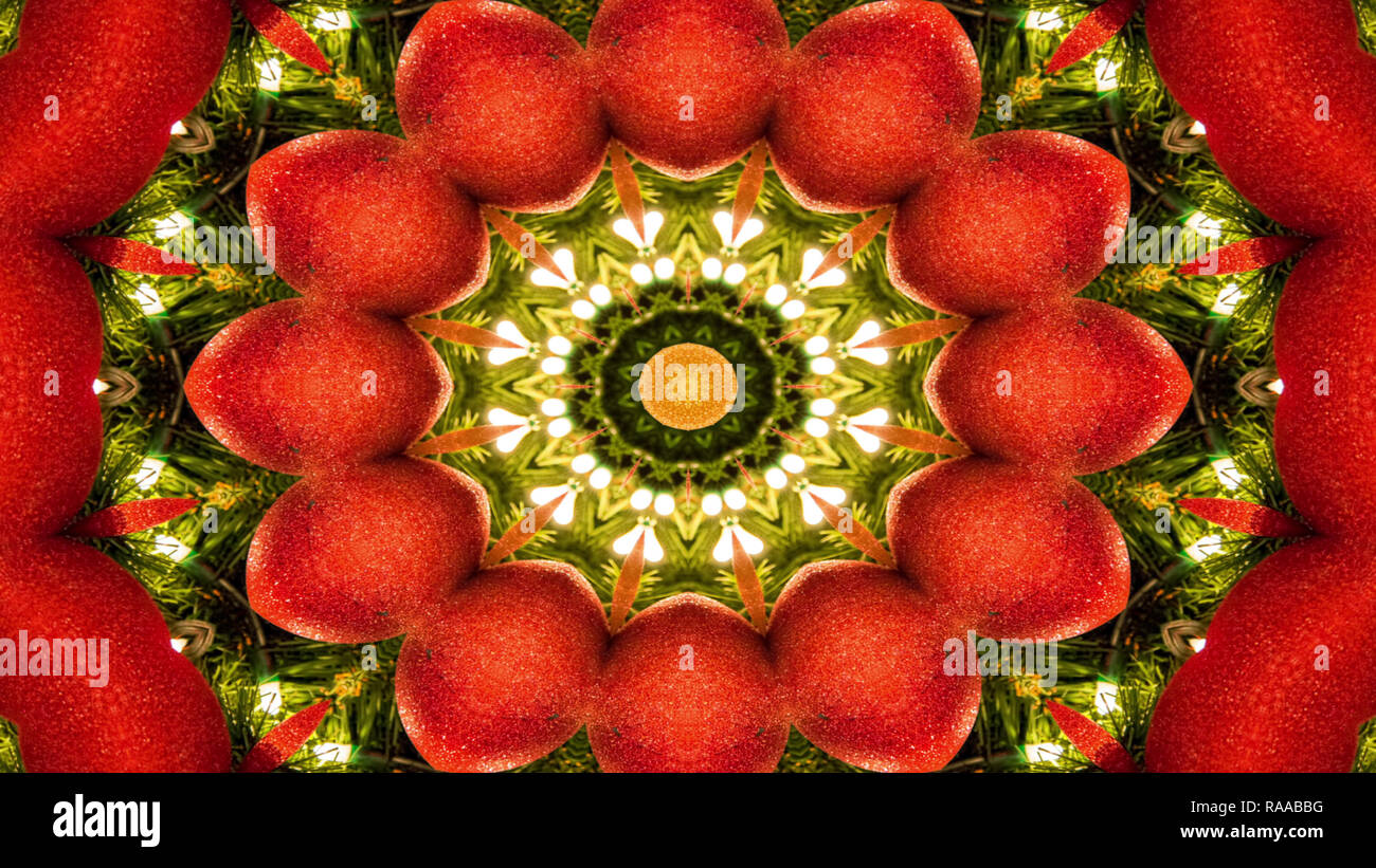 Abstract Vegetable Food Concept Symmetric Pattern Ornamental Decorative ...