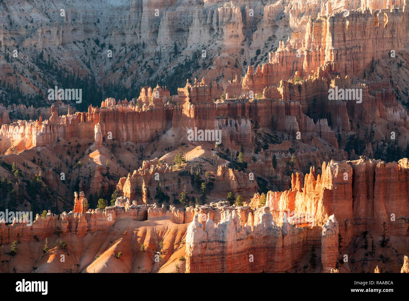 Bryce Canyon National Park, Utah, USA. Bryce Amphitheatre from the Rim ...