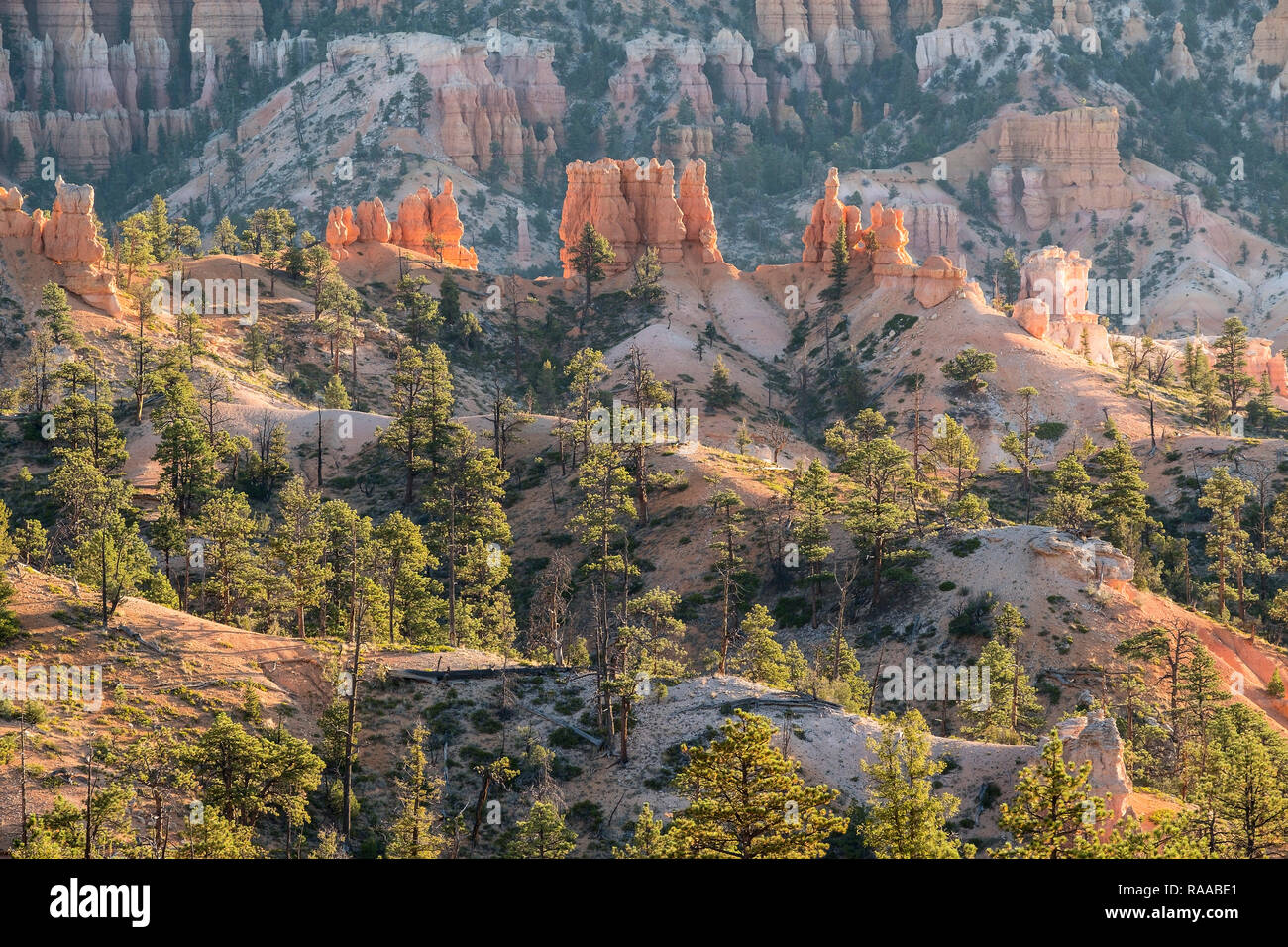 Bryce Canyon National Park, Utah, USA. Bryce Amphitheatre from the Rim ...