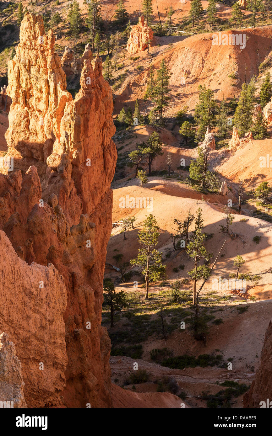 Bryce Canyon National Park, Utah, USA. Bryce Amphitheatre from the Rim ...
