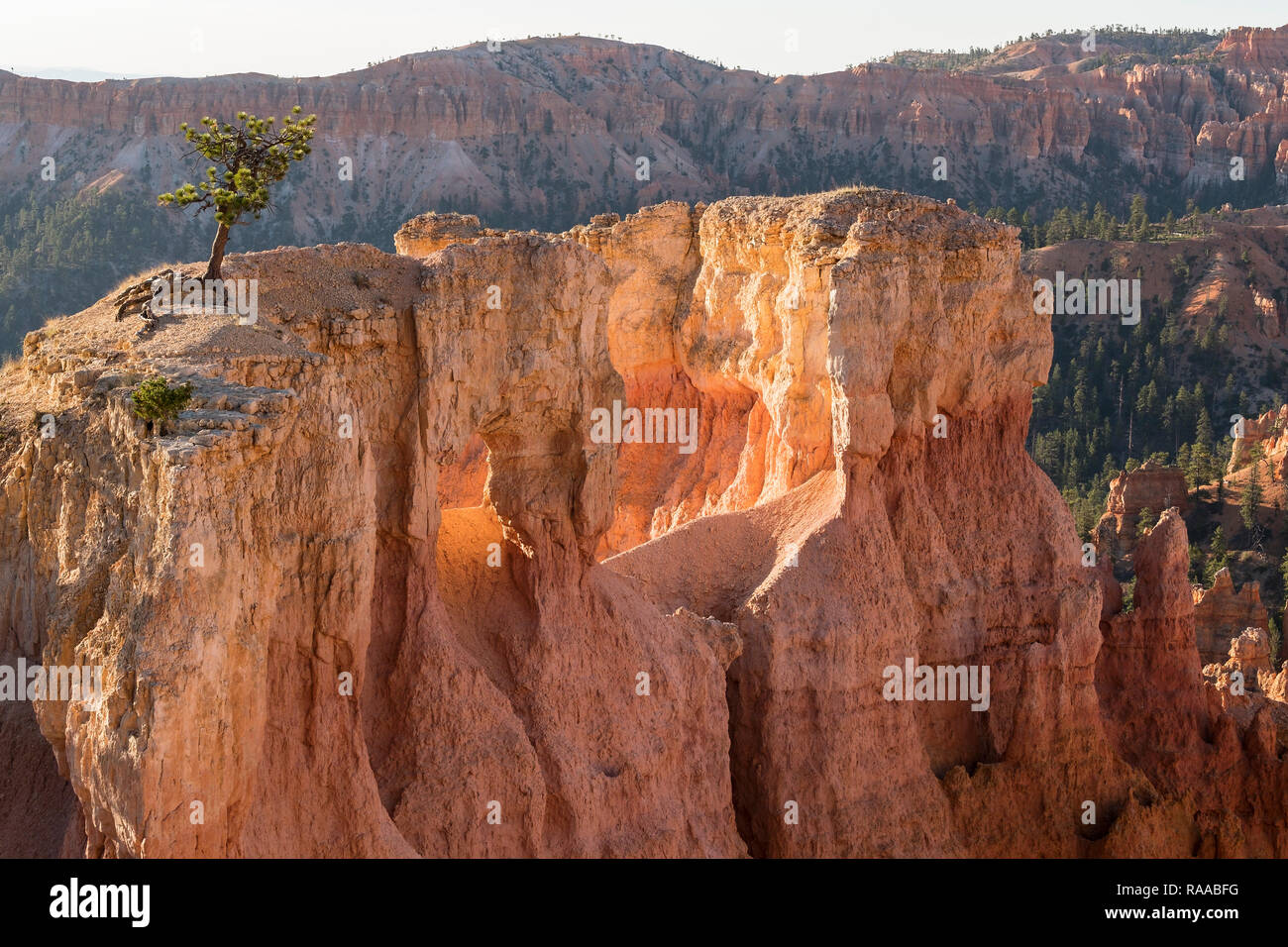 Bryce Canyon National Park, Utah, USA. Bryce Amphitheatre from the Rim ...