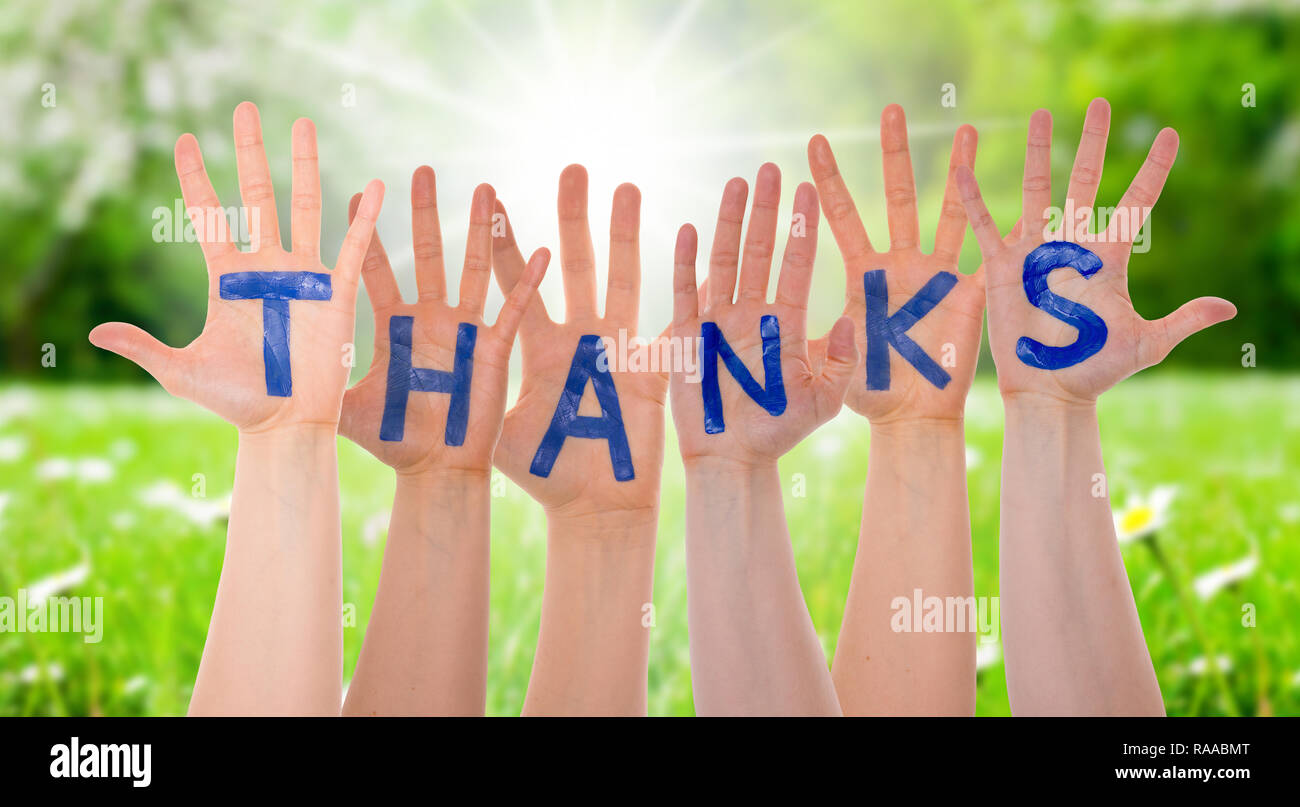 Many Hands Building English Word Thanks. Sunny And Shiny Grass Meadow ...