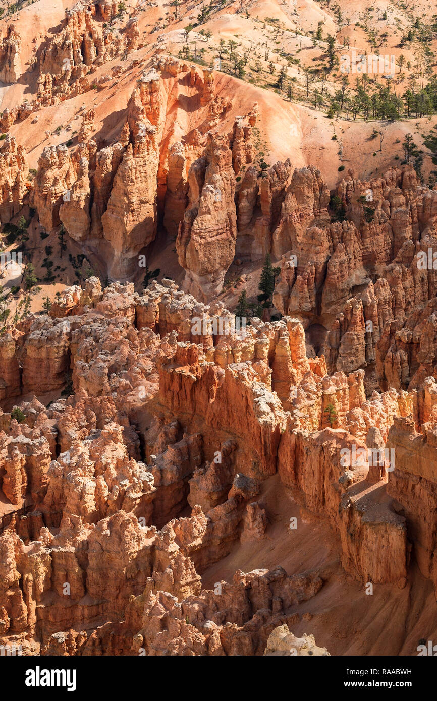 Bryce Canyon National Park, Utah, USA. The Bryce Amphitheatre showing ...