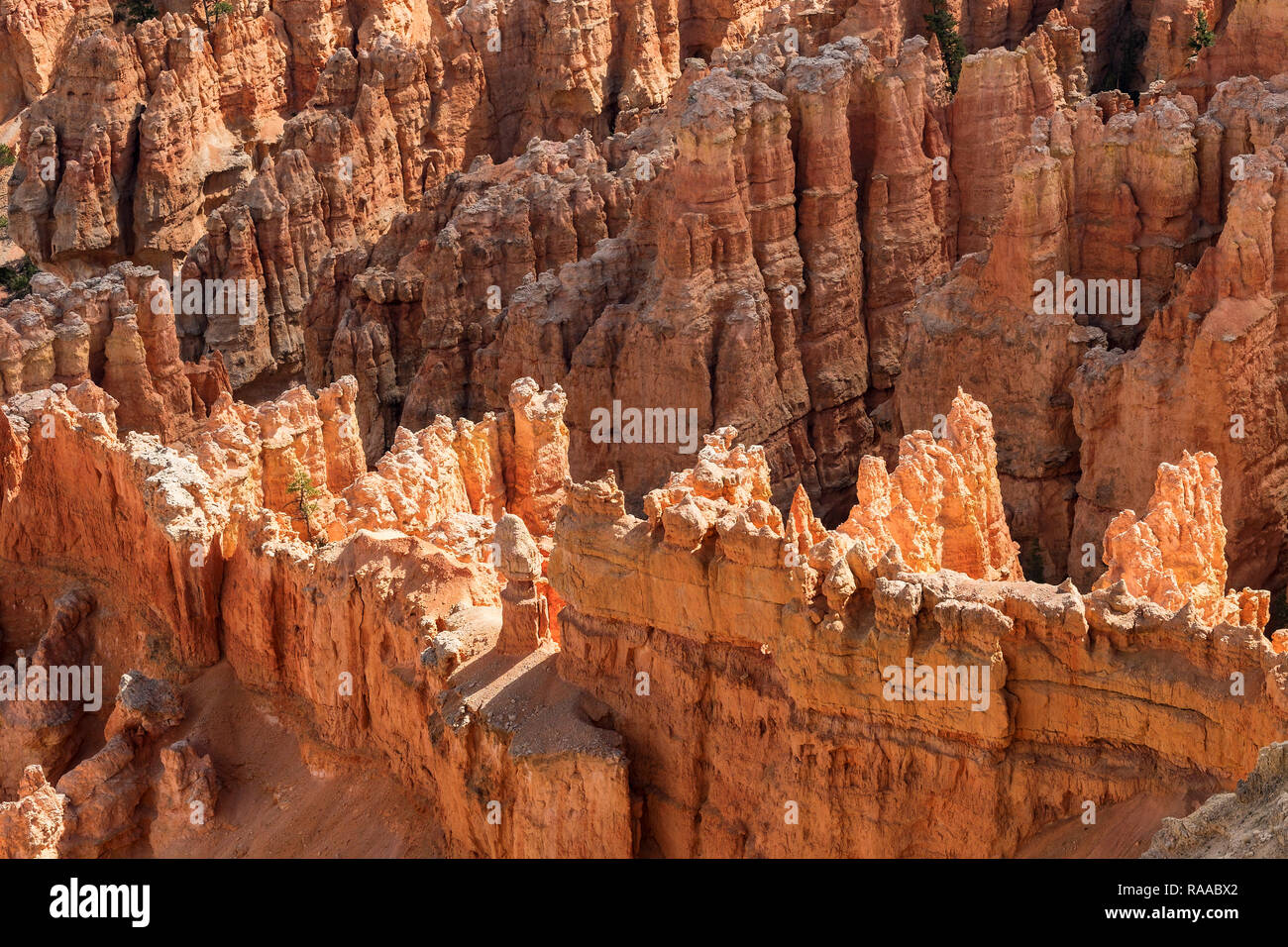 Bryce Canyon National Park, Utah, USA. The Bryce Amphitheatre showing ...