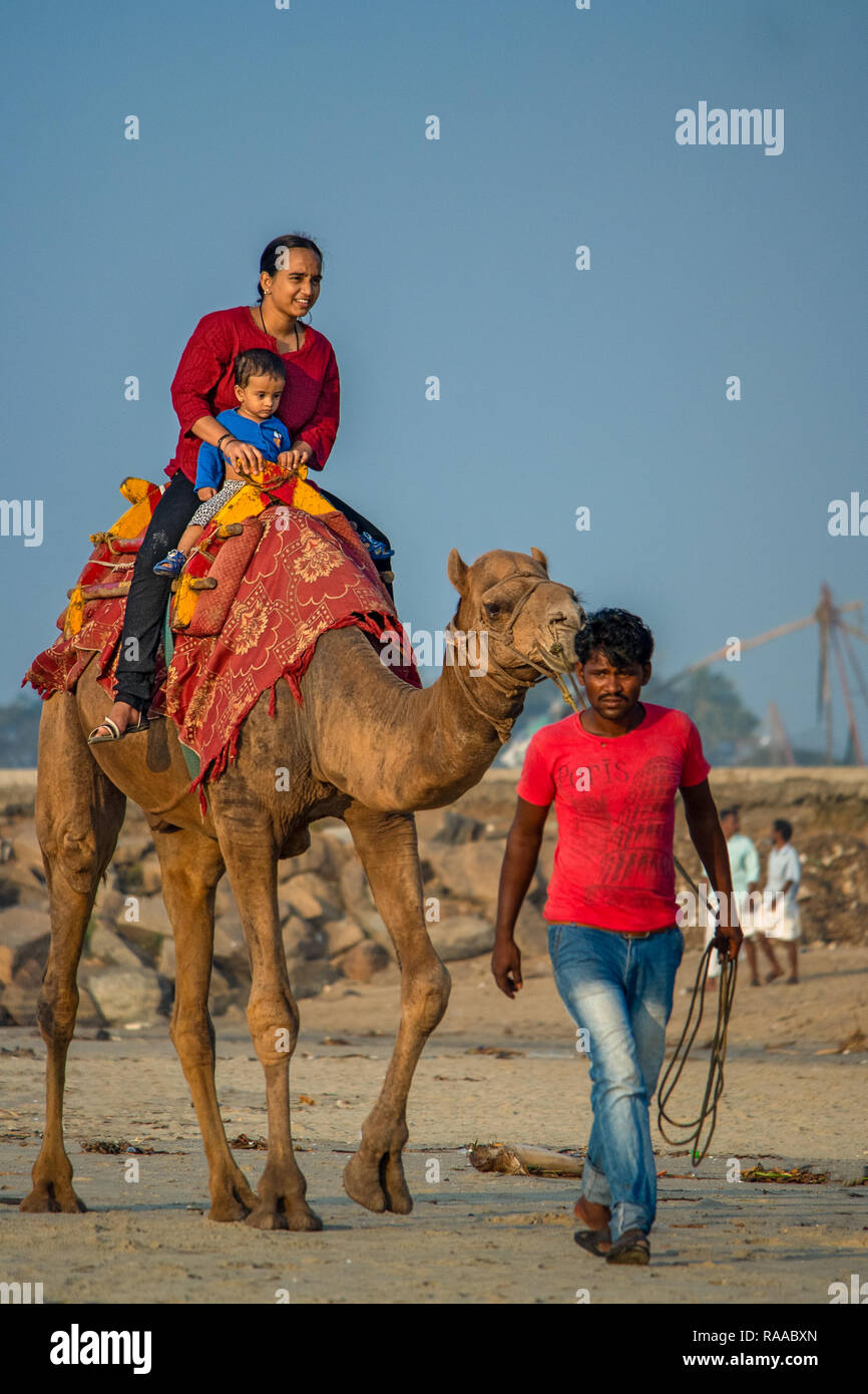 Camel handler hi-res stock photography and images - Alamy