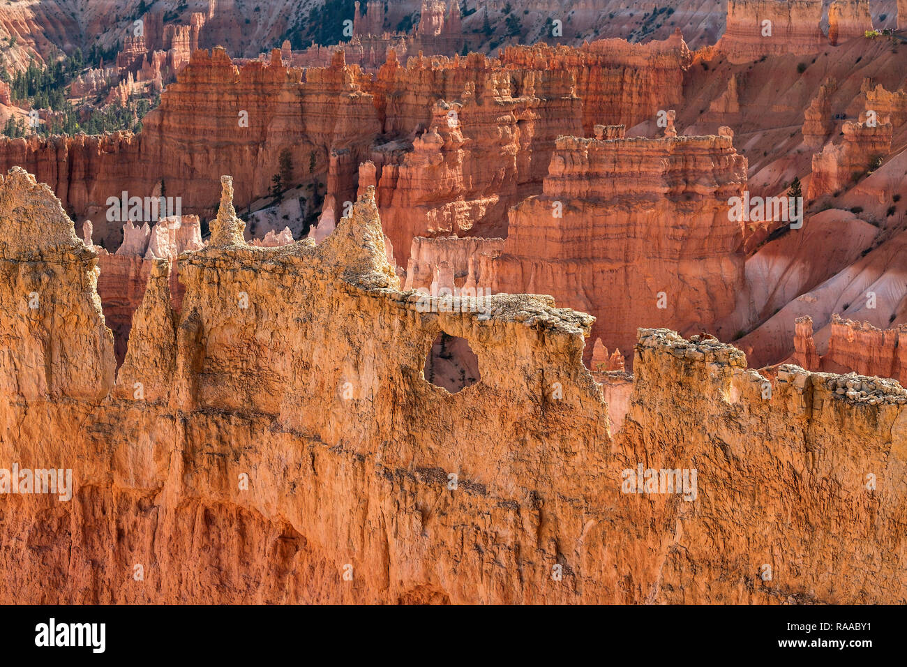 Bryce Canyon National Park, Utah, USA. The Bryce Amphitheatre showing ...