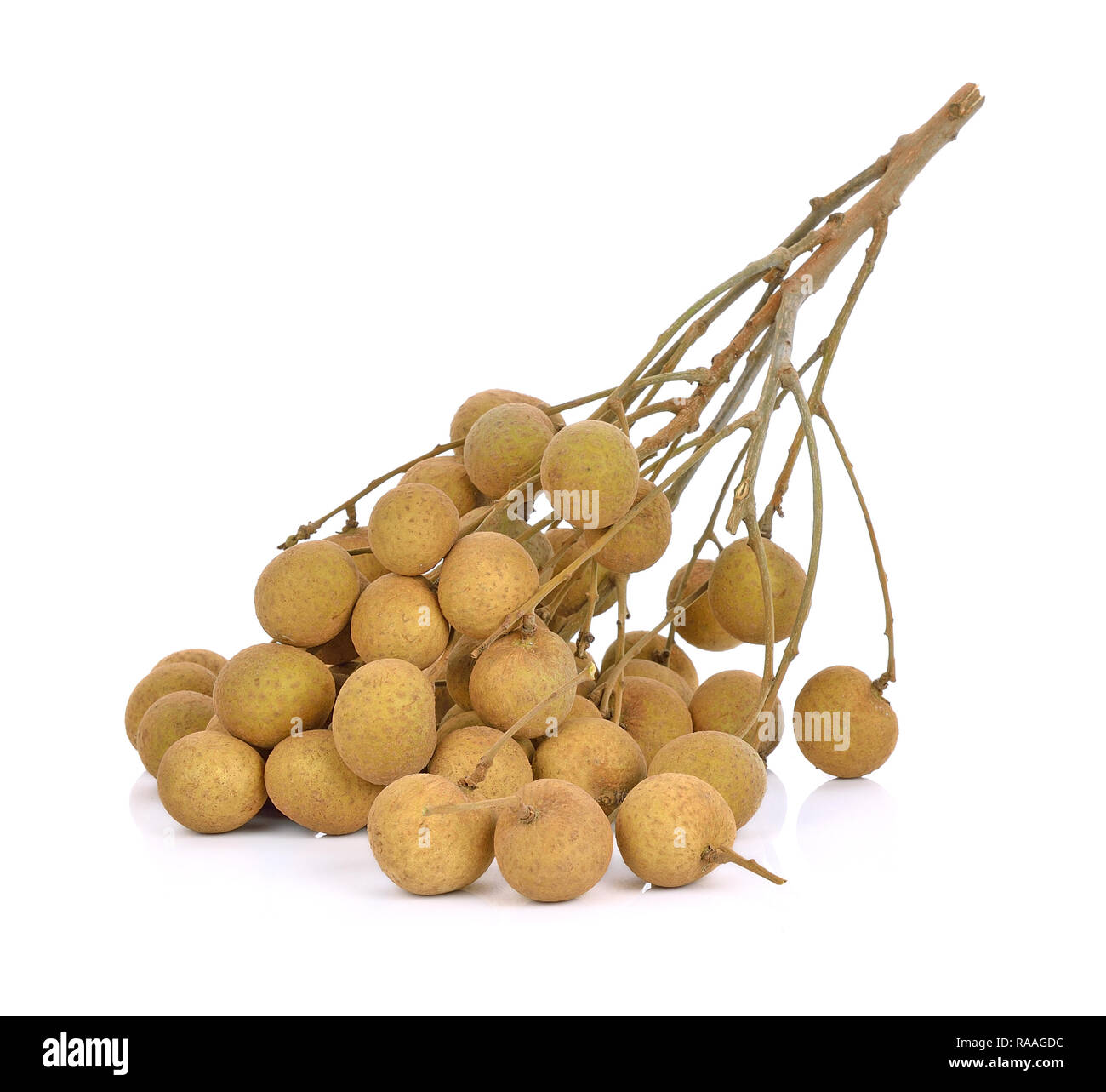 longan isolated on white background Stock Photo - Alamy