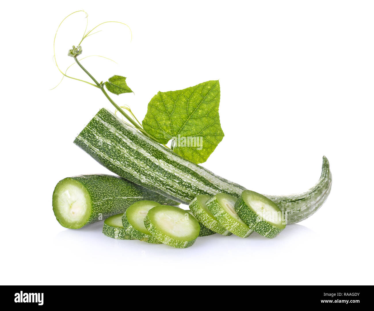 Serpent Gourd Plant High Resolution Stock Photography and Images - Alamy