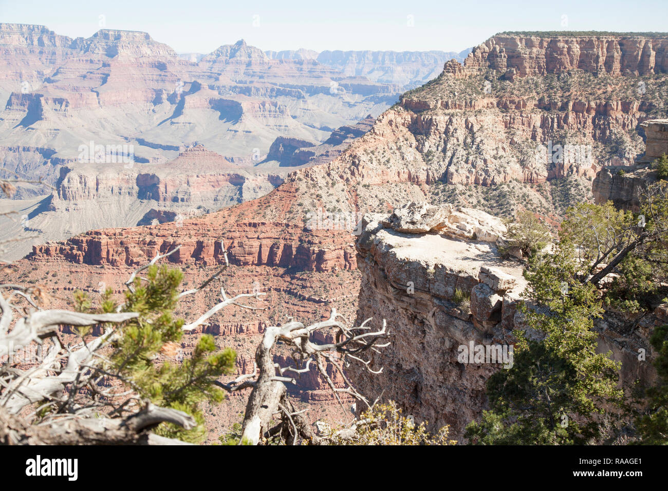view of Grand Canyon from Mather Point Stock Photo - Alamy