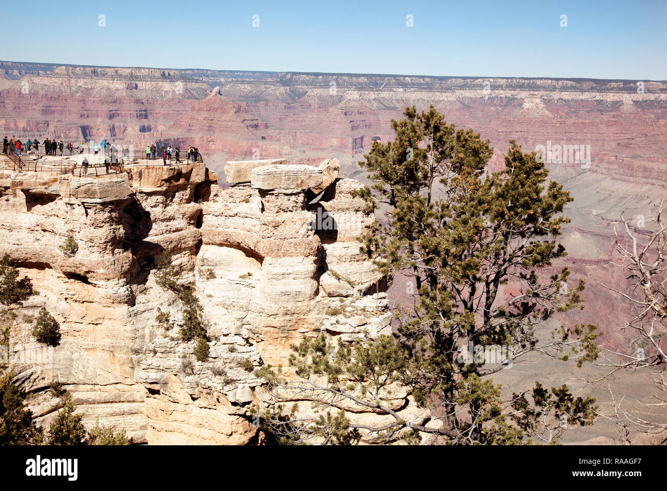 people at the Mathers Point lookout at Grand Canyon in South Rim in ...