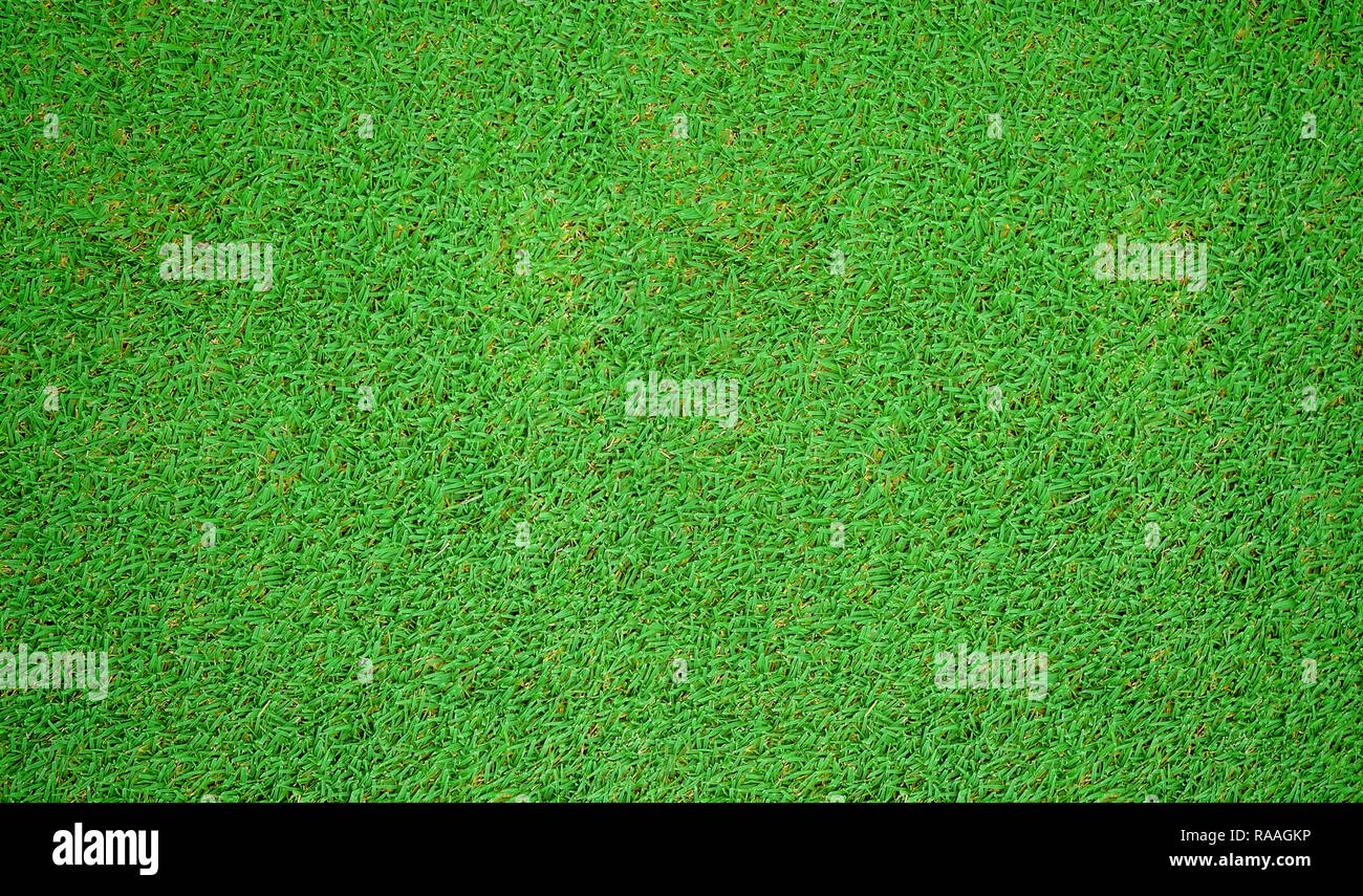 Top view of Green grass field background Stock Photo - Alamy