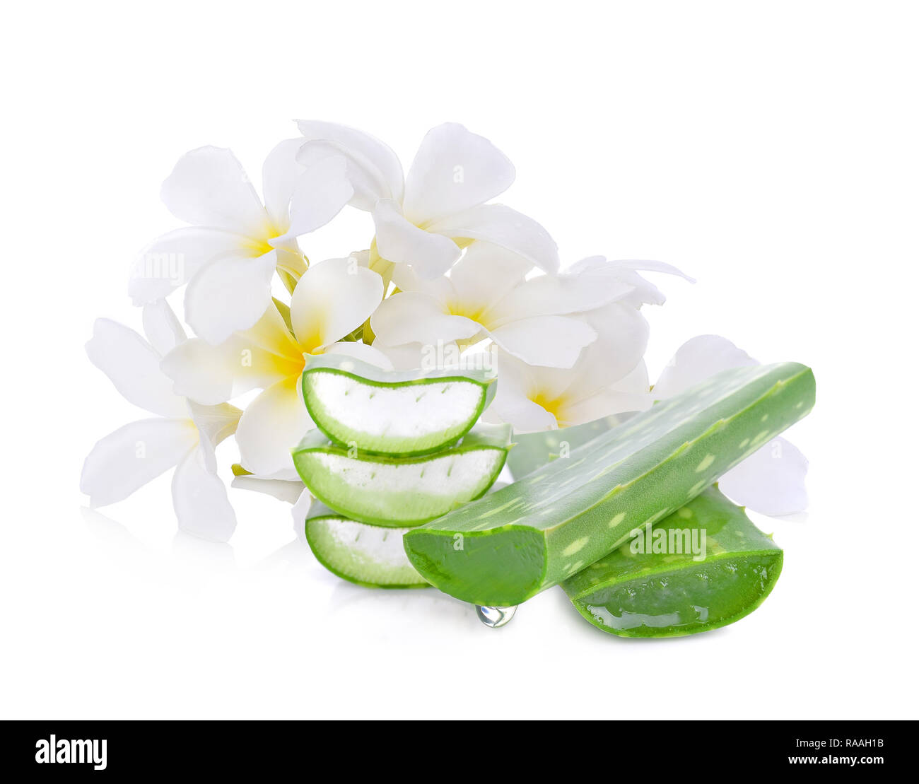 aloe vera fresh leaf. isolated on white background Stock Photo - Alamy