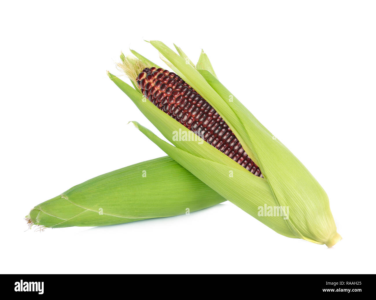 Fresh purple corn isolated on white background Stock Photo - Alamy