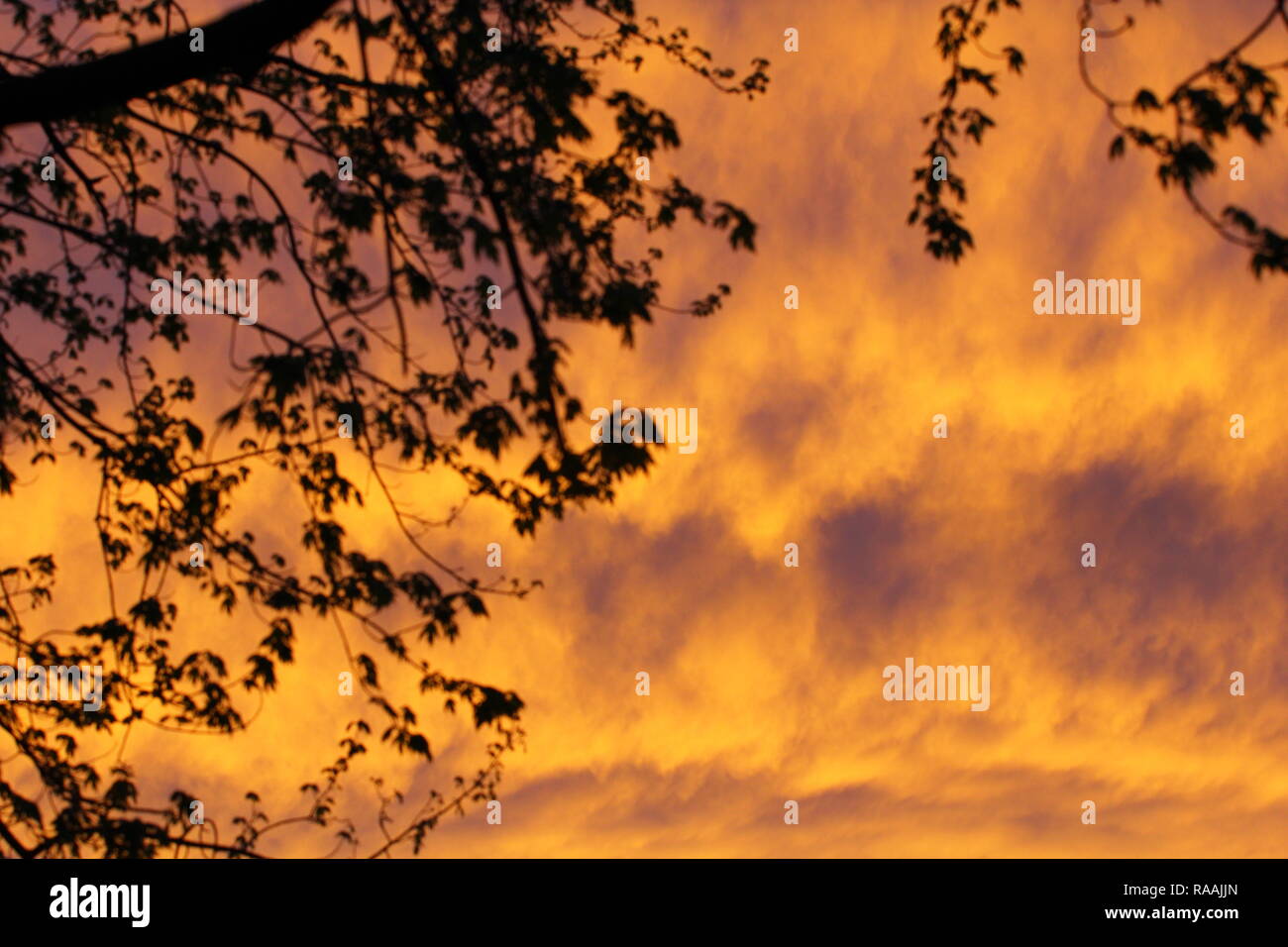 Sunset Sky, Ohio Stock Photo - Alamy