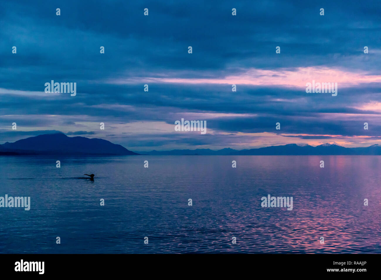 Frederick sound hi-res stock photography and images - Alamy