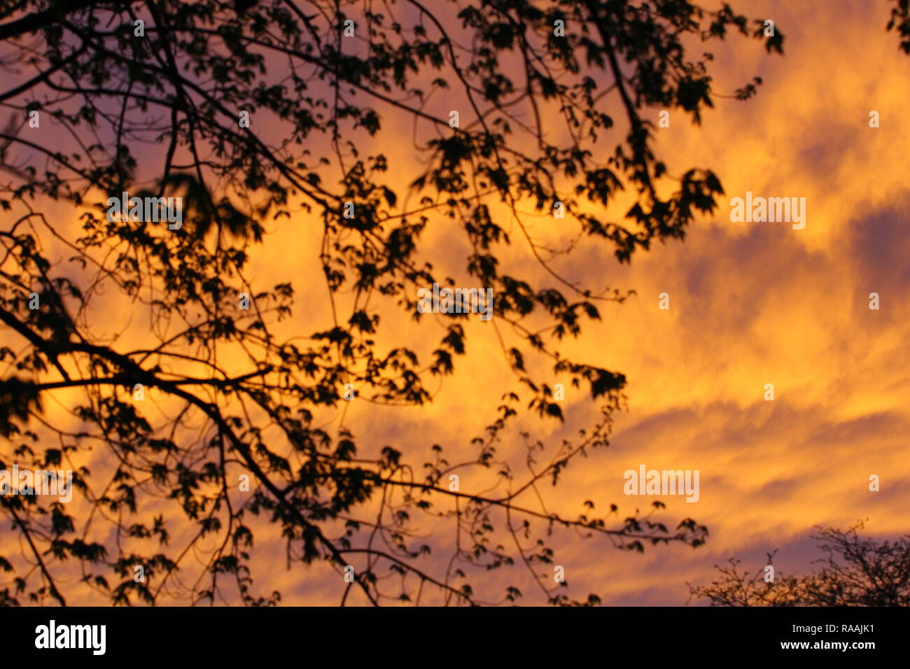 Sunset Sky, Ohio Stock Photo - Alamy