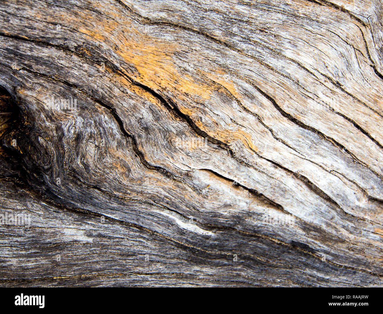 Detail of old stump surface , wood texture Stock Photo - Alamy