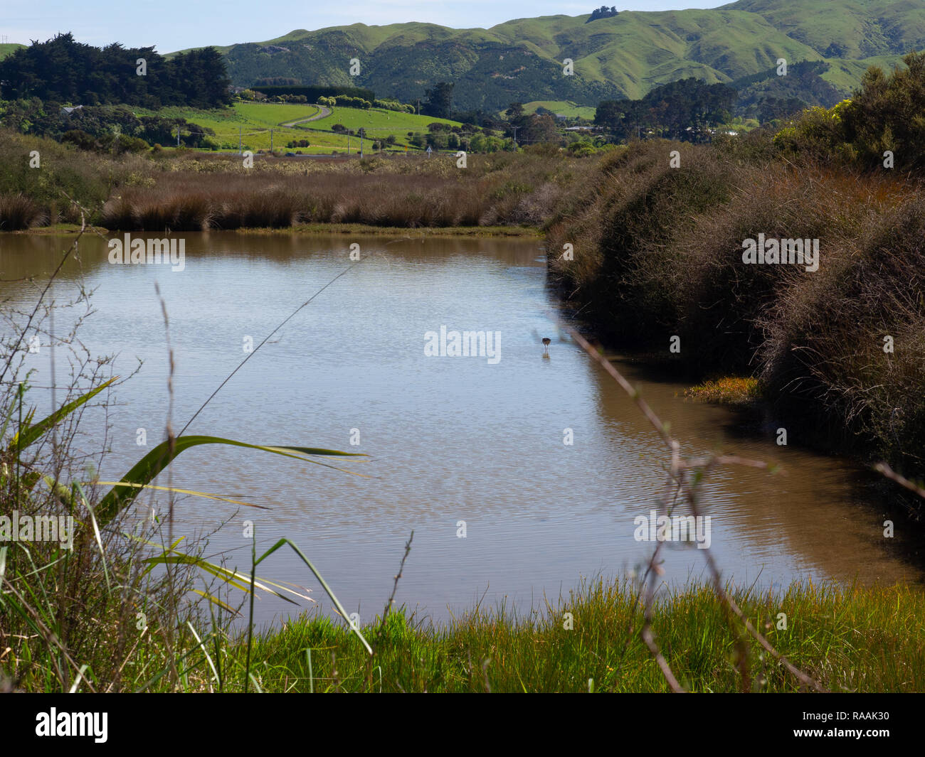 Pauatahanui High Resolution Stock Photography and Images - Alamy