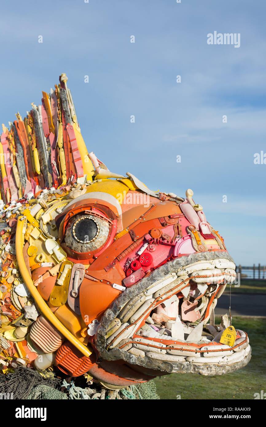 Henry The Fish High Resolution Stock Photography and Images - Alamy