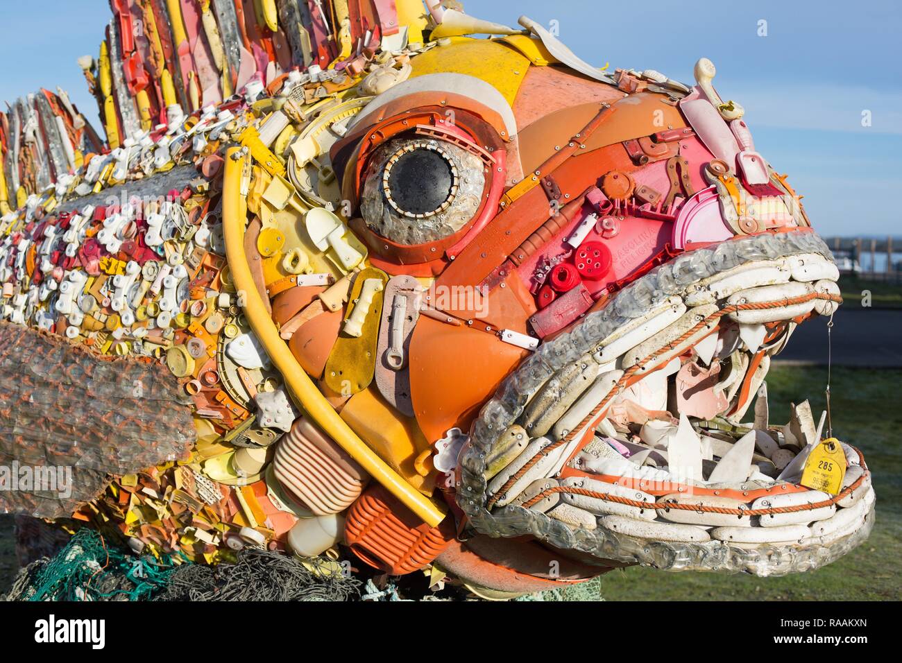 Henry the fish hi-res stock photography and images - Alamy