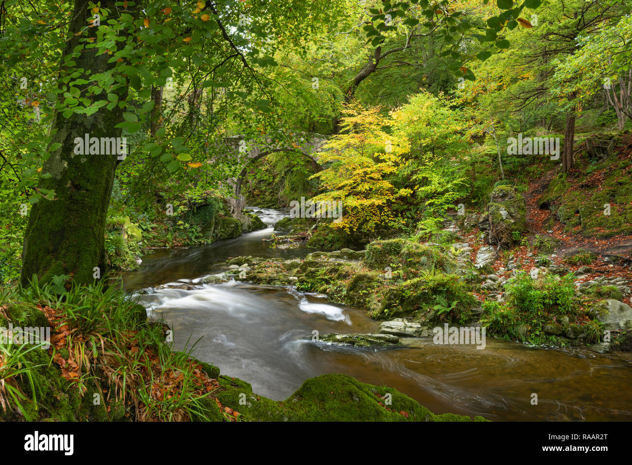 Foleys bridge hi-res stock photography and images - Alamy