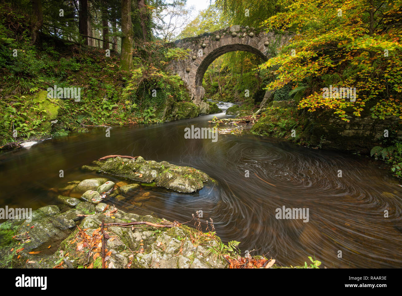 Foley’s bridge hi-res stock photography and images - Alamy