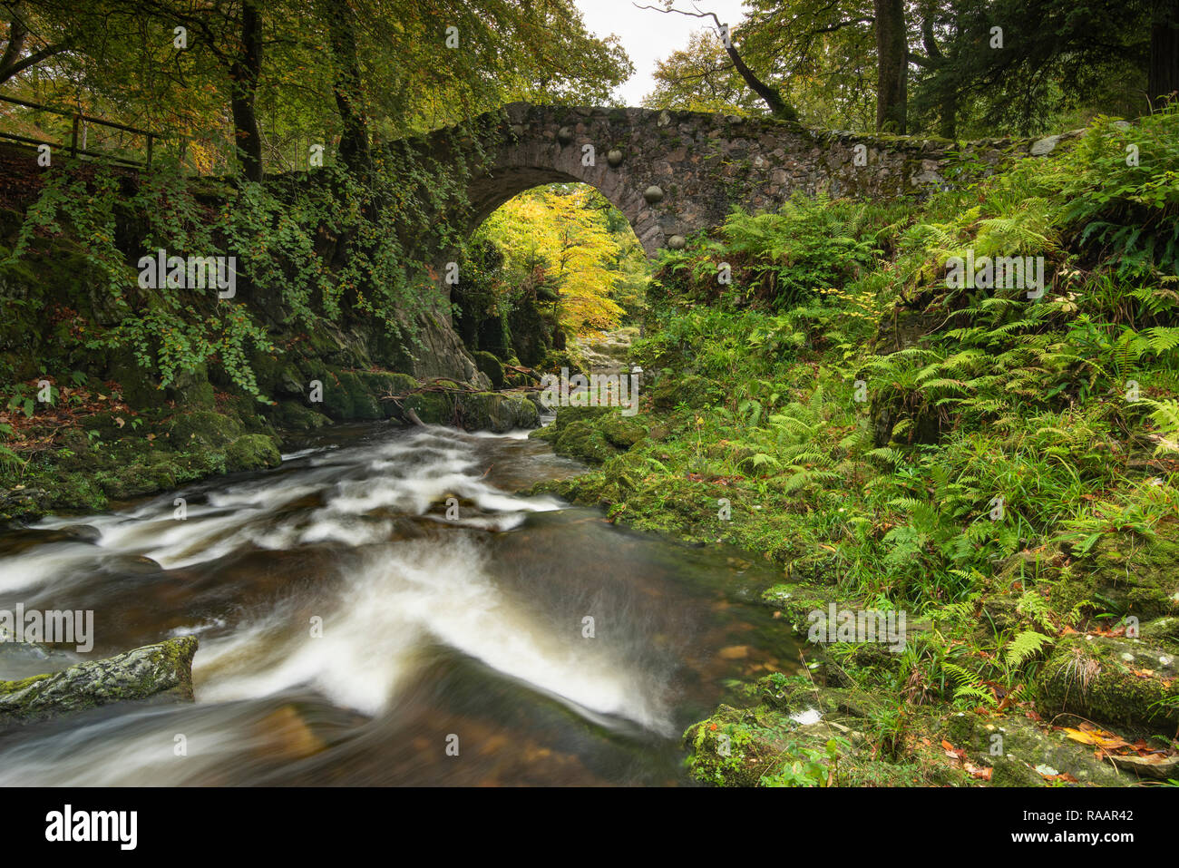 Foley’s bridge hi-res stock photography and images - Alamy