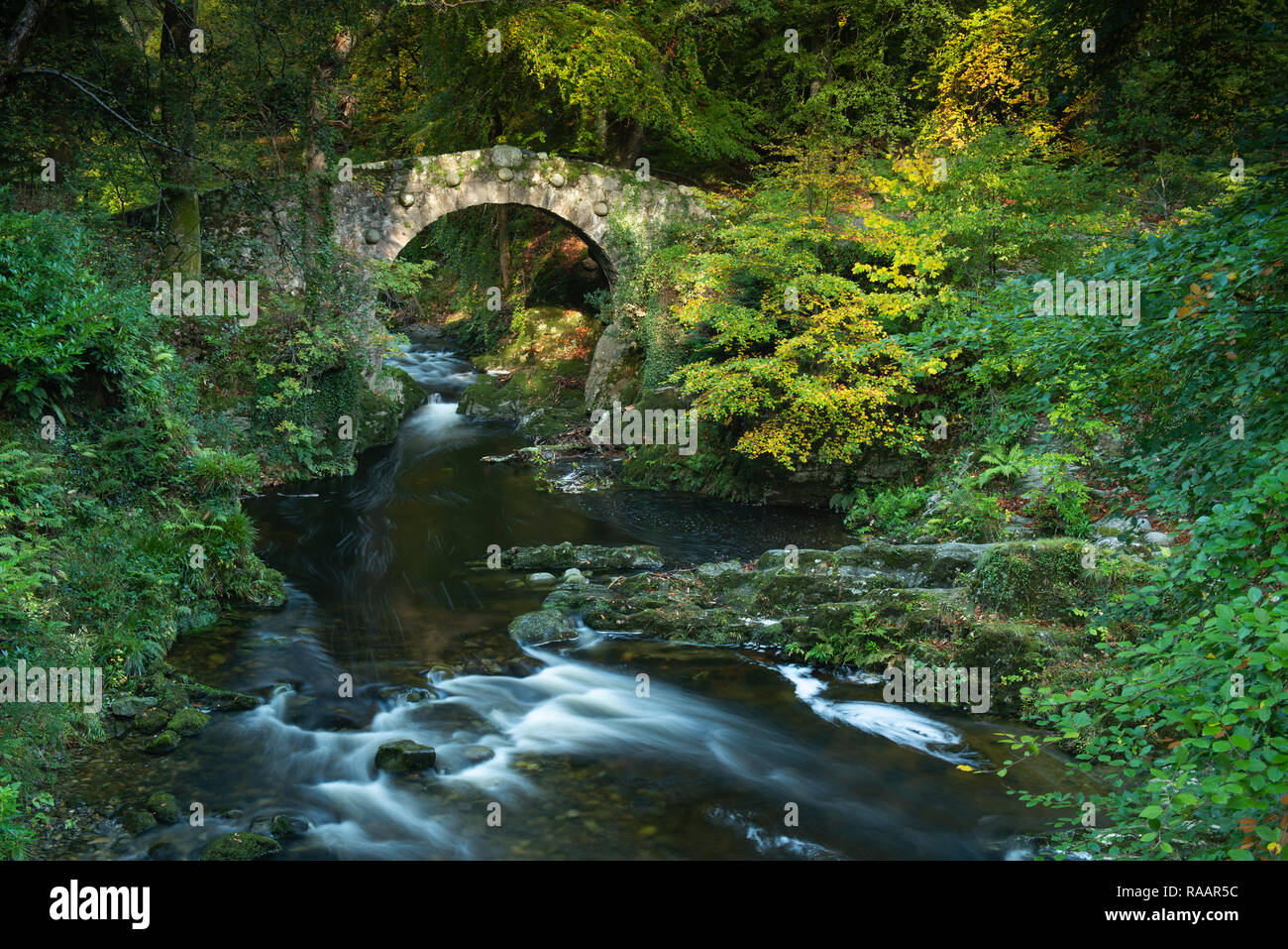 Foley’s bridge hi-res stock photography and images - Alamy