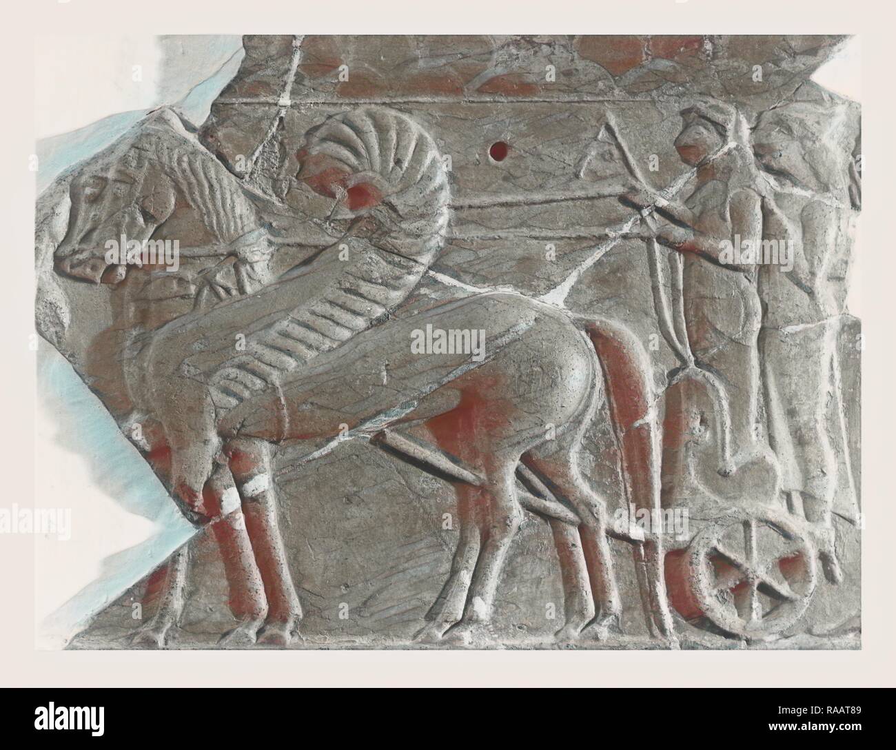 Lazio Roma Velletri Museo Civico di Velletri, this is my Italy, the ...