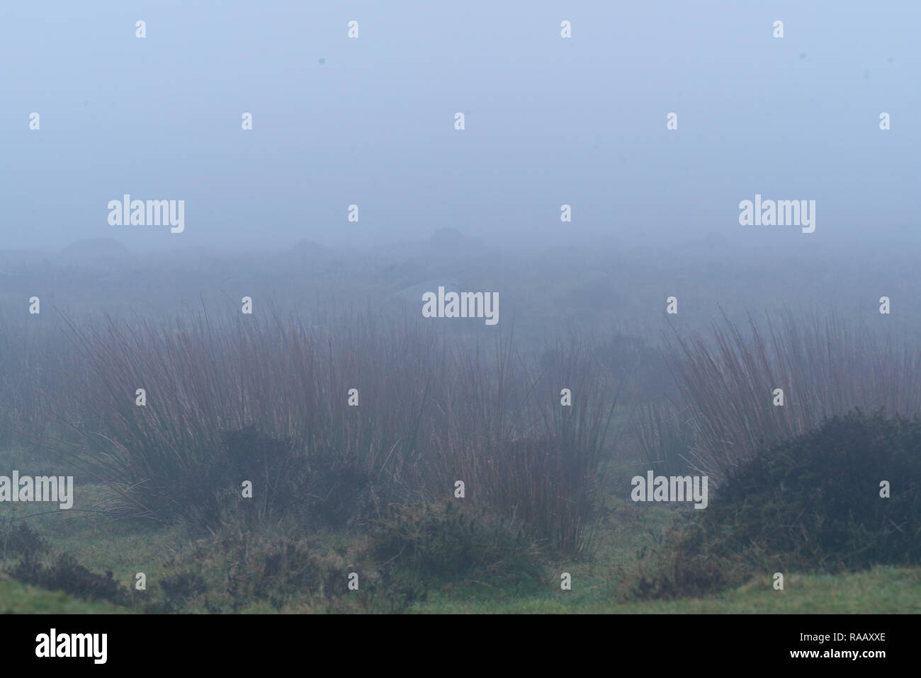 Heavy Ground Fog High Resolution Stock Photography and Images - Alamy