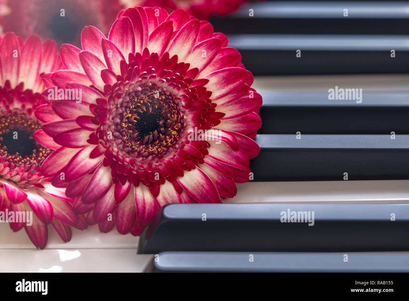Musical flower arrangement hi-res stock photography and images - Alamy