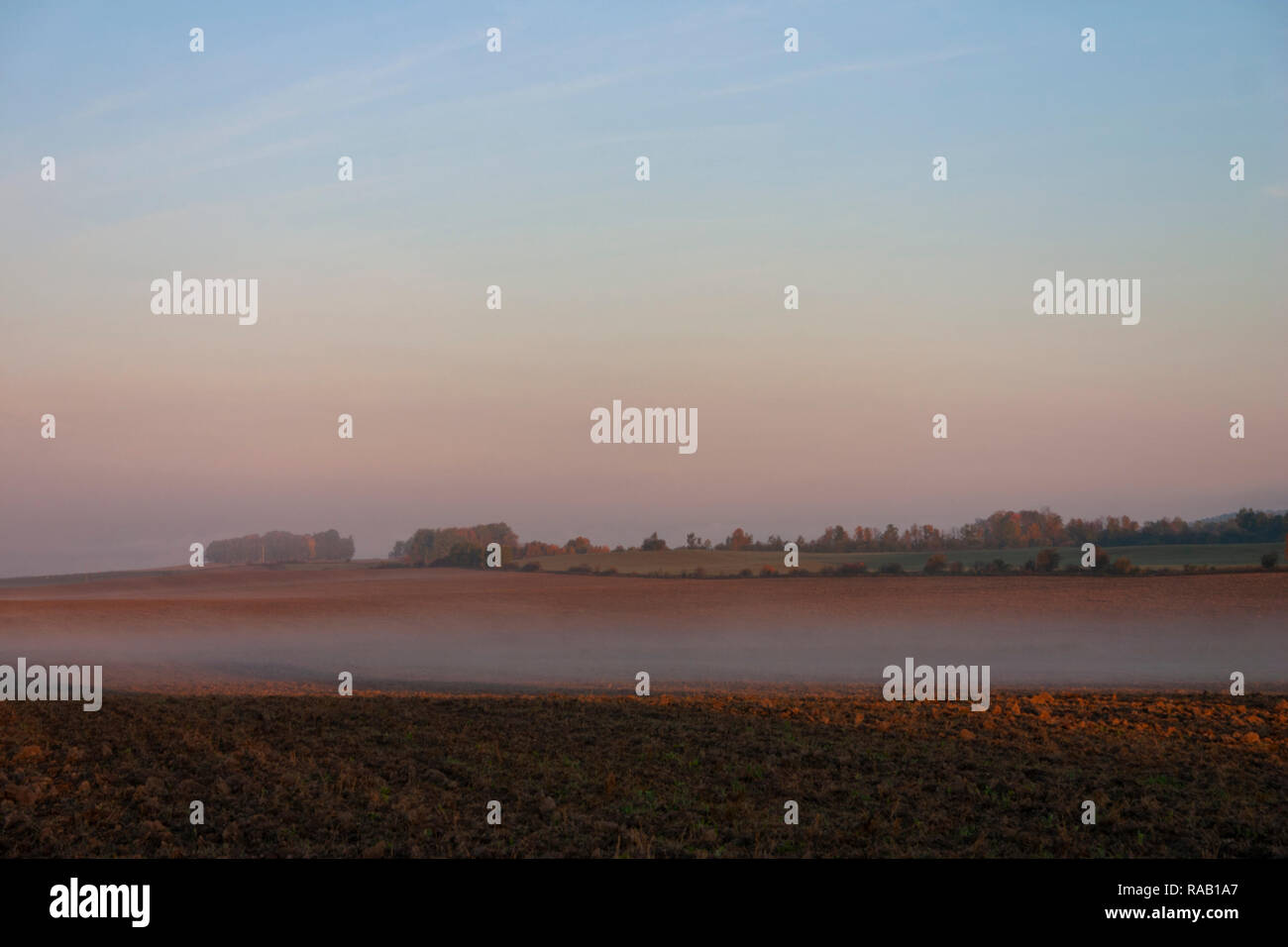 Mist over field Stock Photo - Alamy
