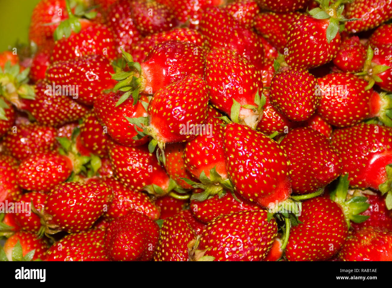 Red, ripe strawberries Stock Photo - Alamy