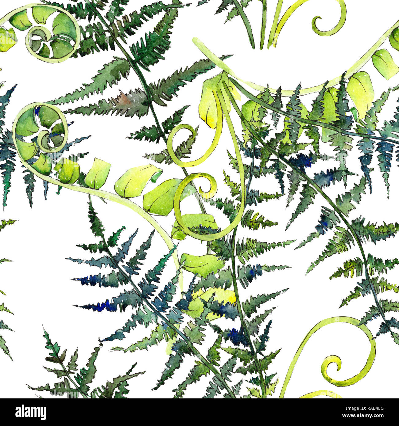 Fern green leaf. Watercolor background illustration set. Seamless ...