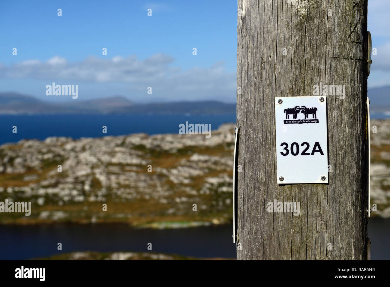 trail marker,route marker,post,sign,hiking,sheep's head way,lighthouse ...