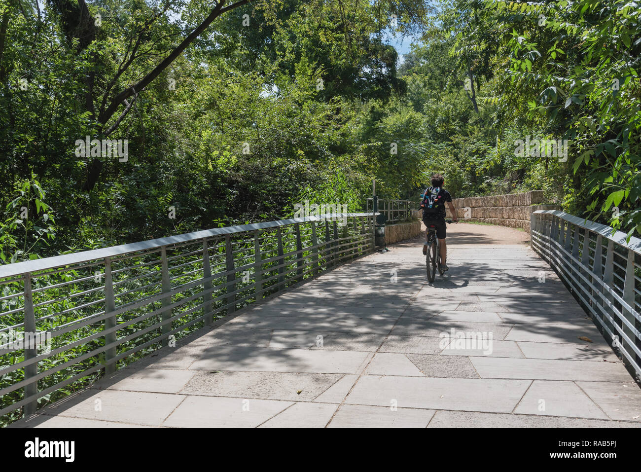 Back view man biking along nature boardwalk near downtown Austin Stock ...