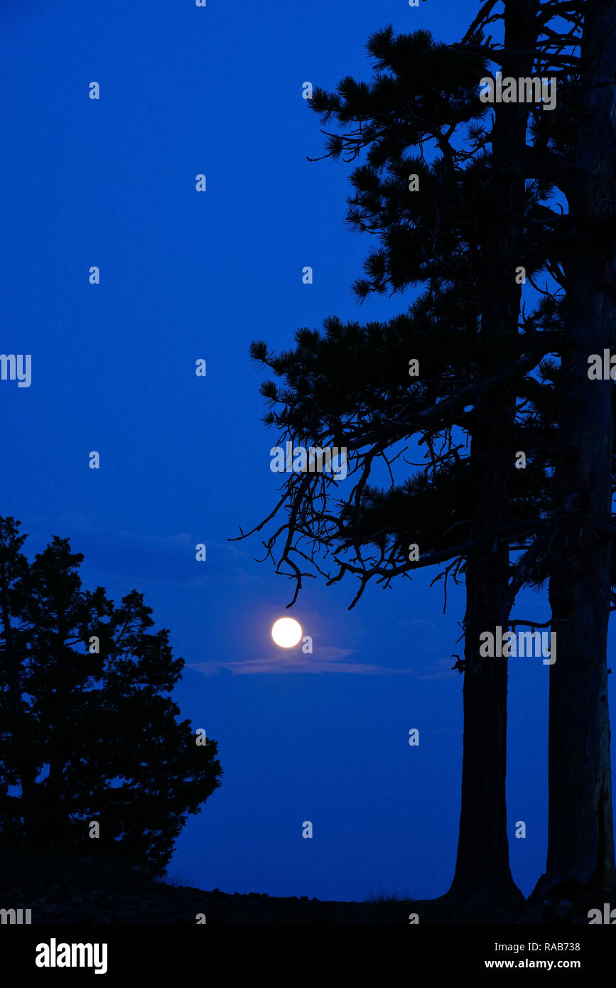 Moon rising over Sunset Point in Bryce Canyon National Park Stock Photo ...