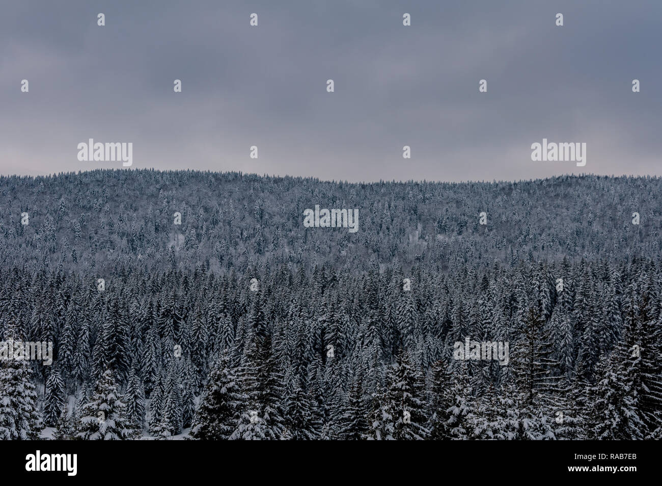 Mountain igman hi-res stock photography and images - Alamy