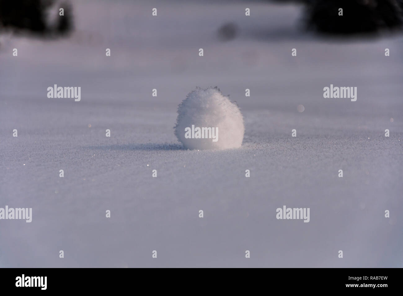 Small snowball making shadow on the snow surface Stock Photo - Alamy