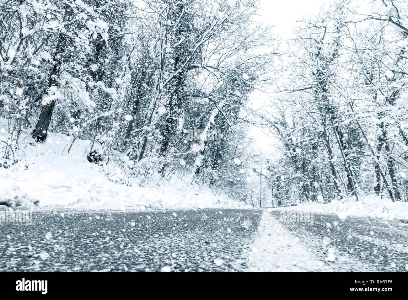 Winter forest snow road. Forest road winter snow view Stock Photo - Alamy