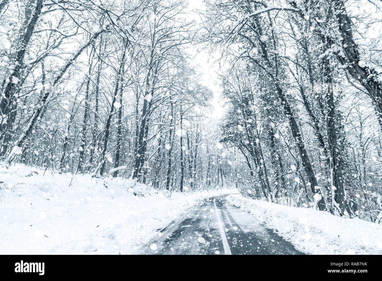 Winter forest snow road. Forest road winter snow view Stock Photo - Alamy